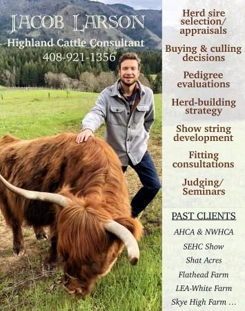 Cattle for Sale — Northwest Highland Cattle Association