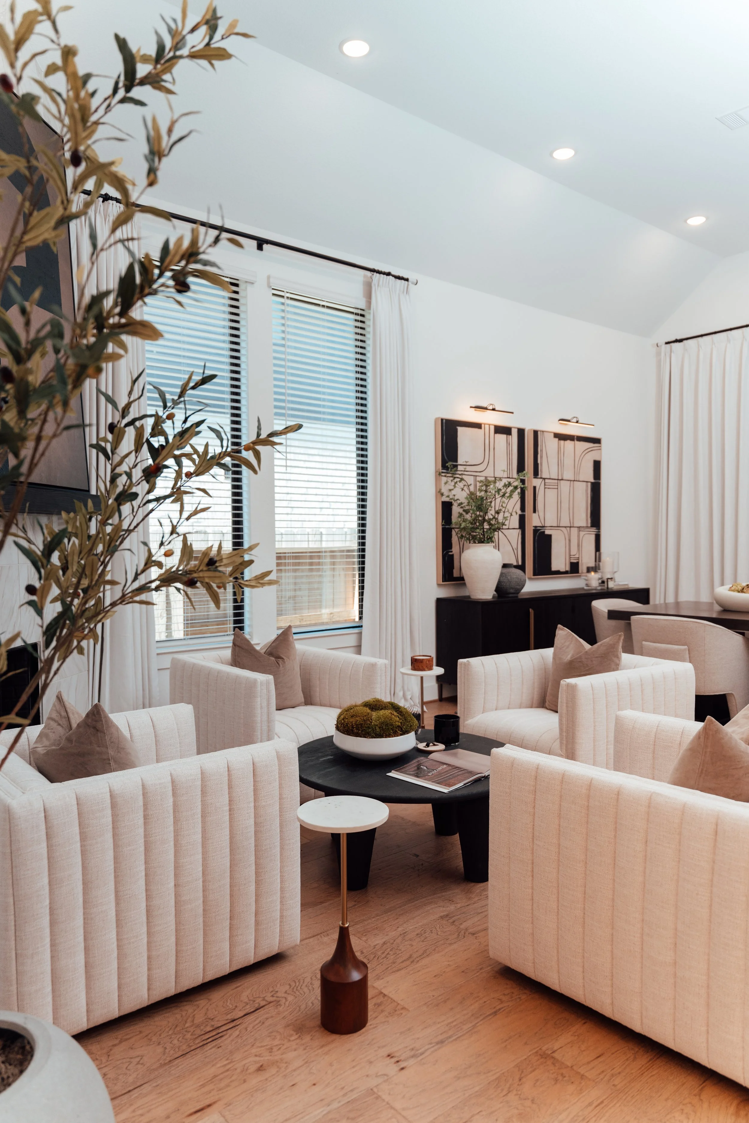 Houston, Dallas & Austin Texas Transitional and Minimalist Interior ...