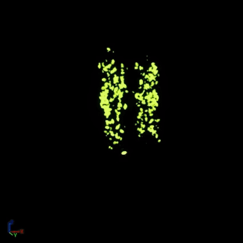 Level Design Production — Xun Zhang