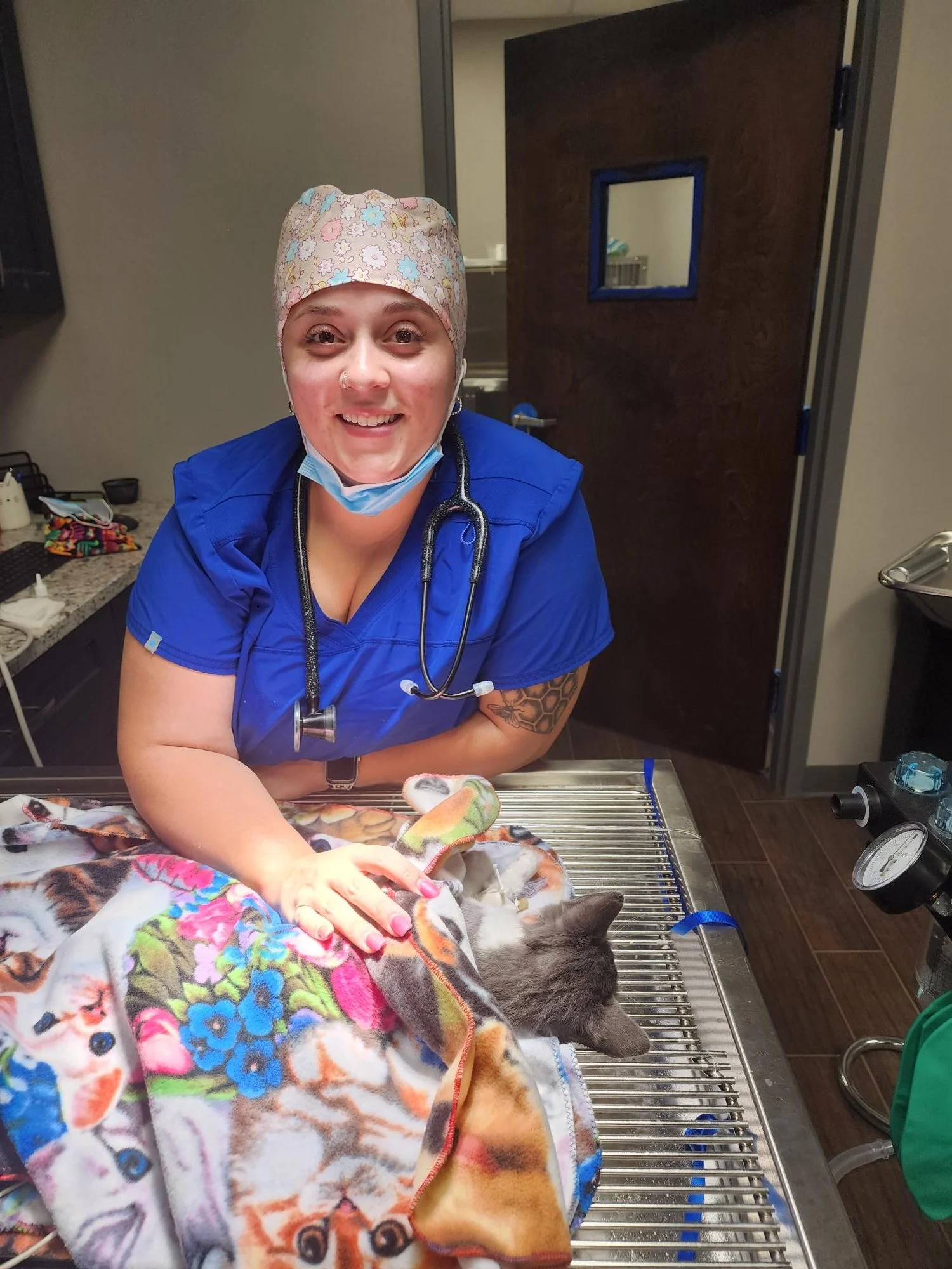 All Better Veterinary, PLLC