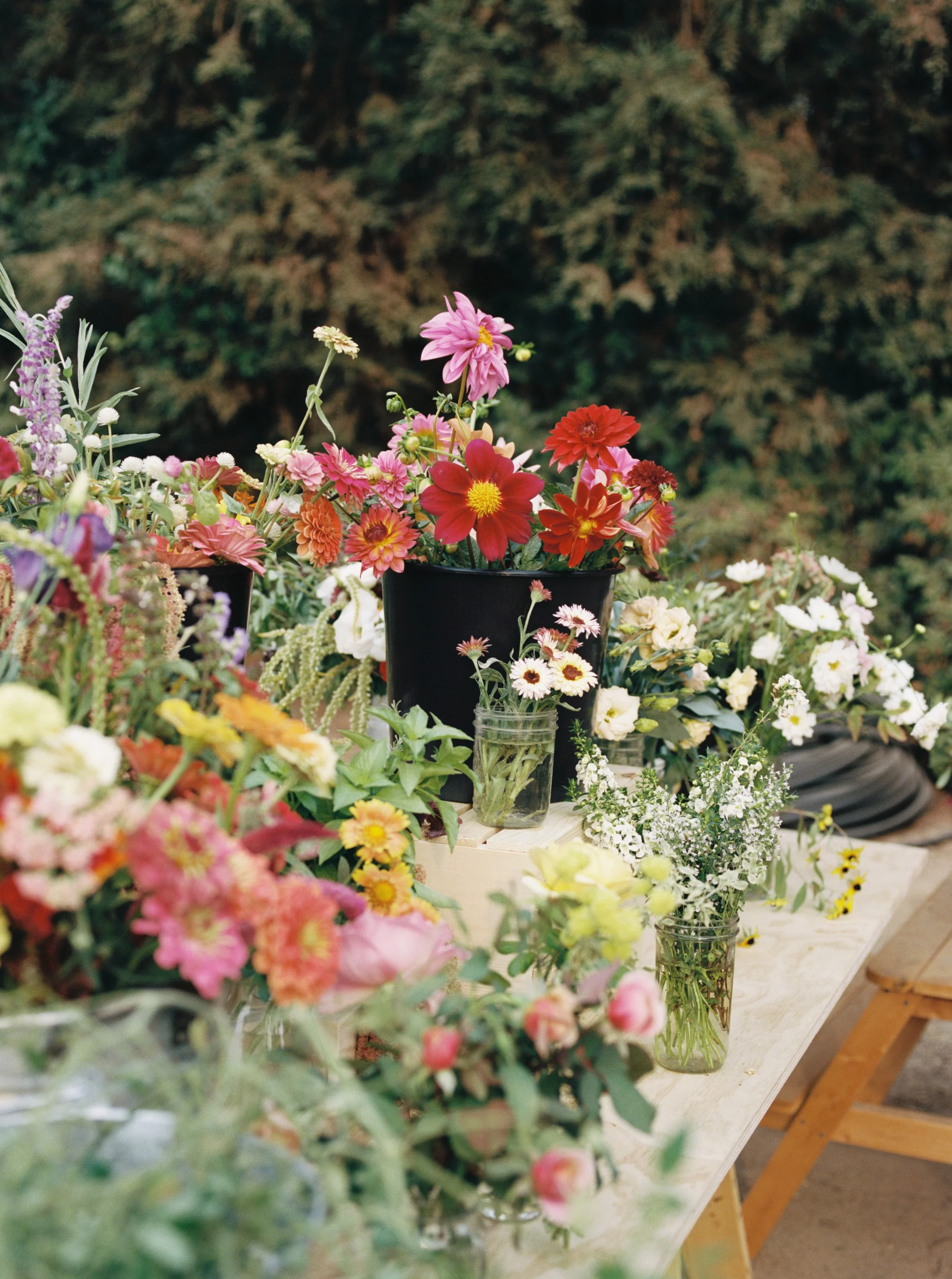San Joaquin Flower Collective