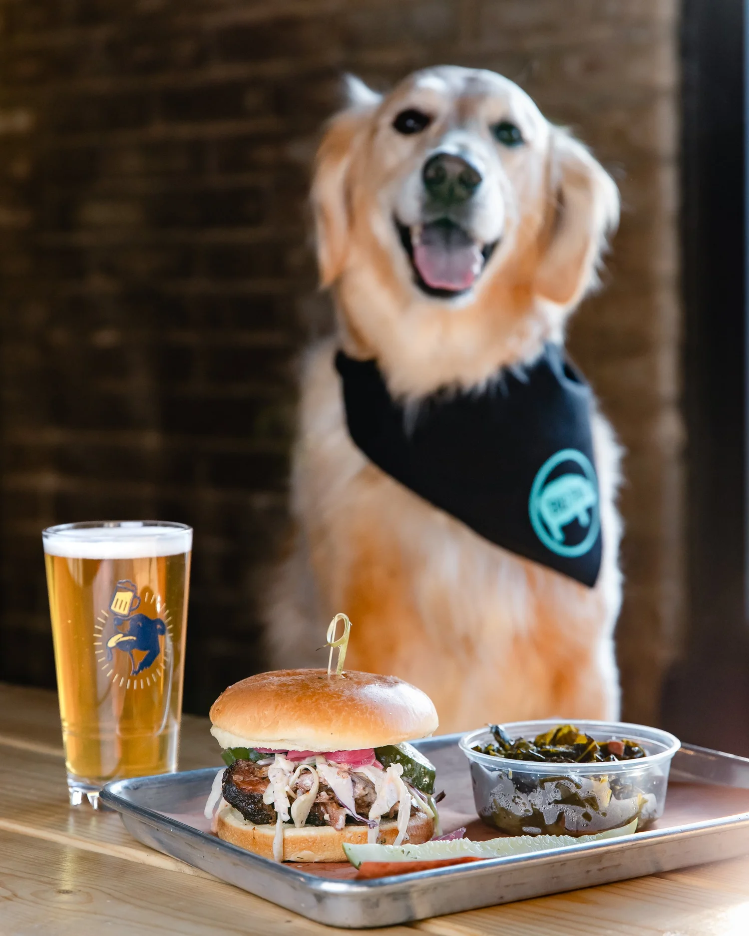 Boston's Only Dog Bar, Park, and Daycare - Park-9 Dog Bar