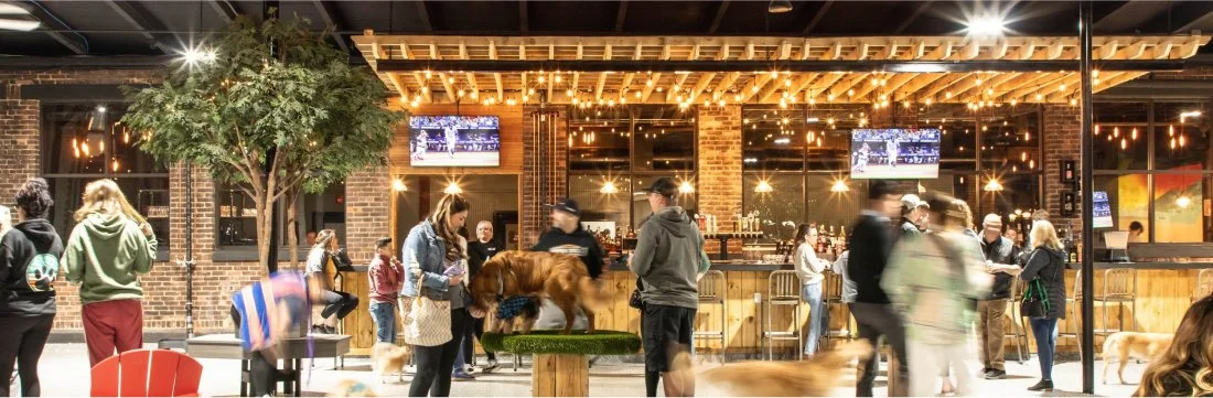 Boston's Only Dog Bar, Park, and Daycare - Park-9 Dog Bar