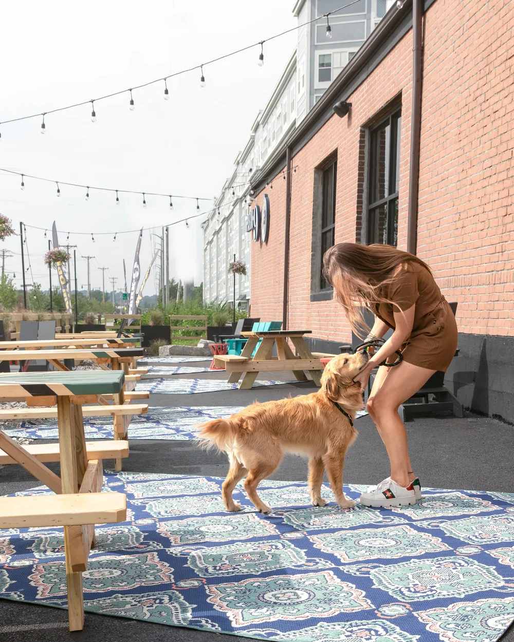 Private Events — Park-9 Dog Bar