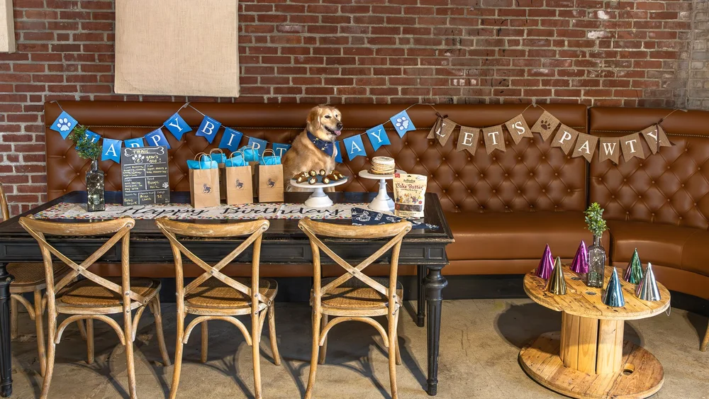 Private Events — Park-9 Dog Bar