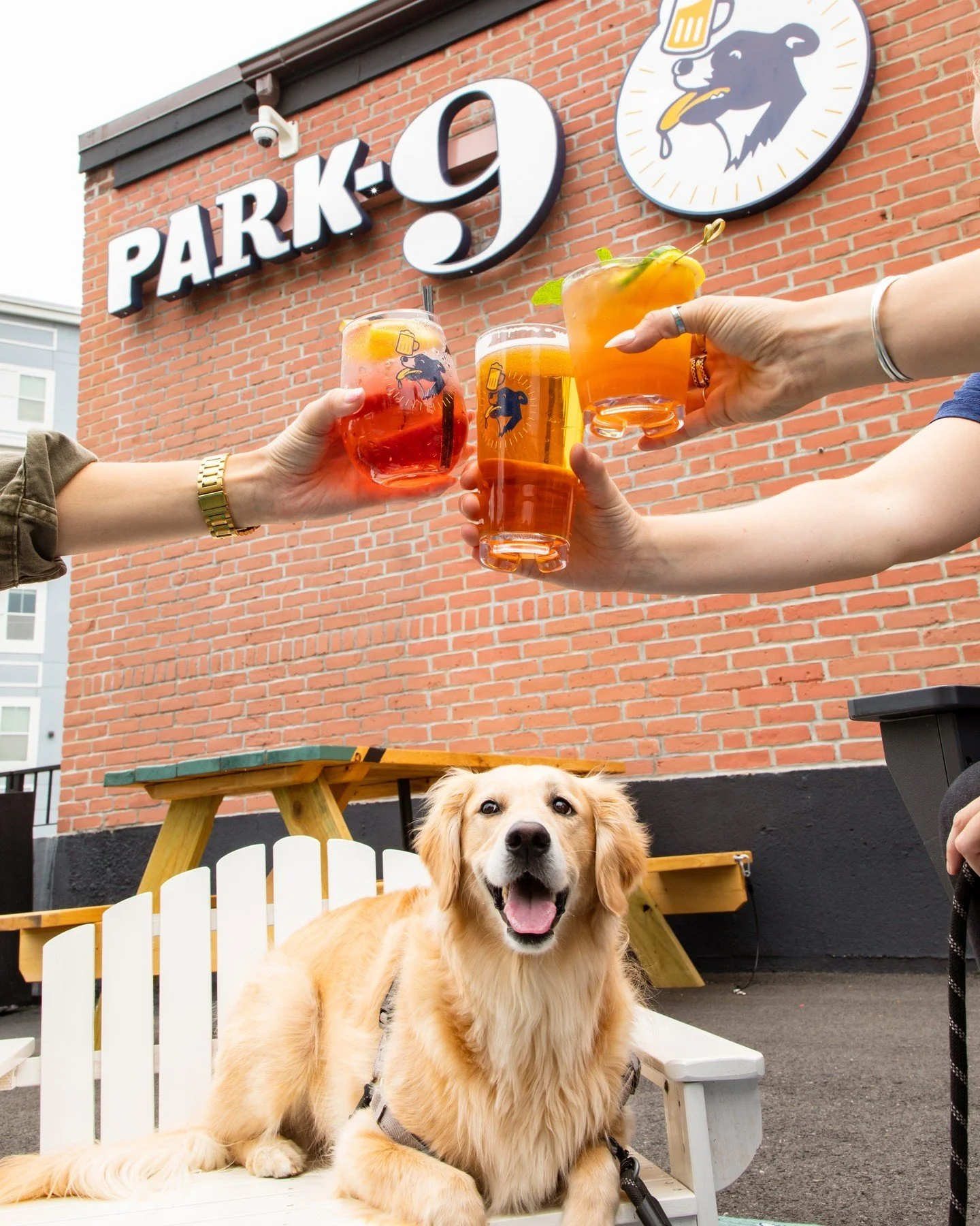 Park-9 Fenway | The Station — Park-9 Dog Bar