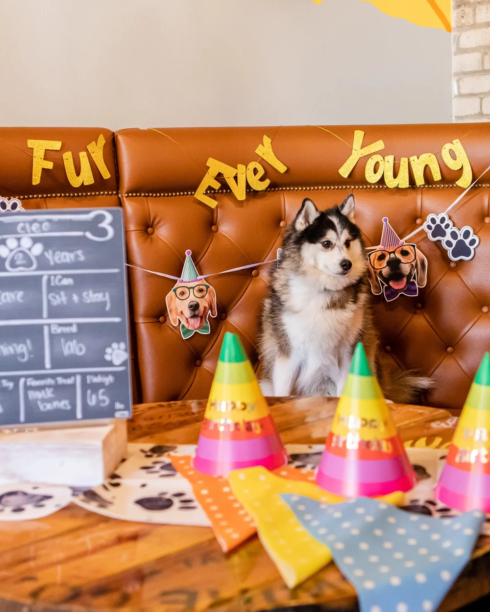 Private Events — Park-9 Dog Bar