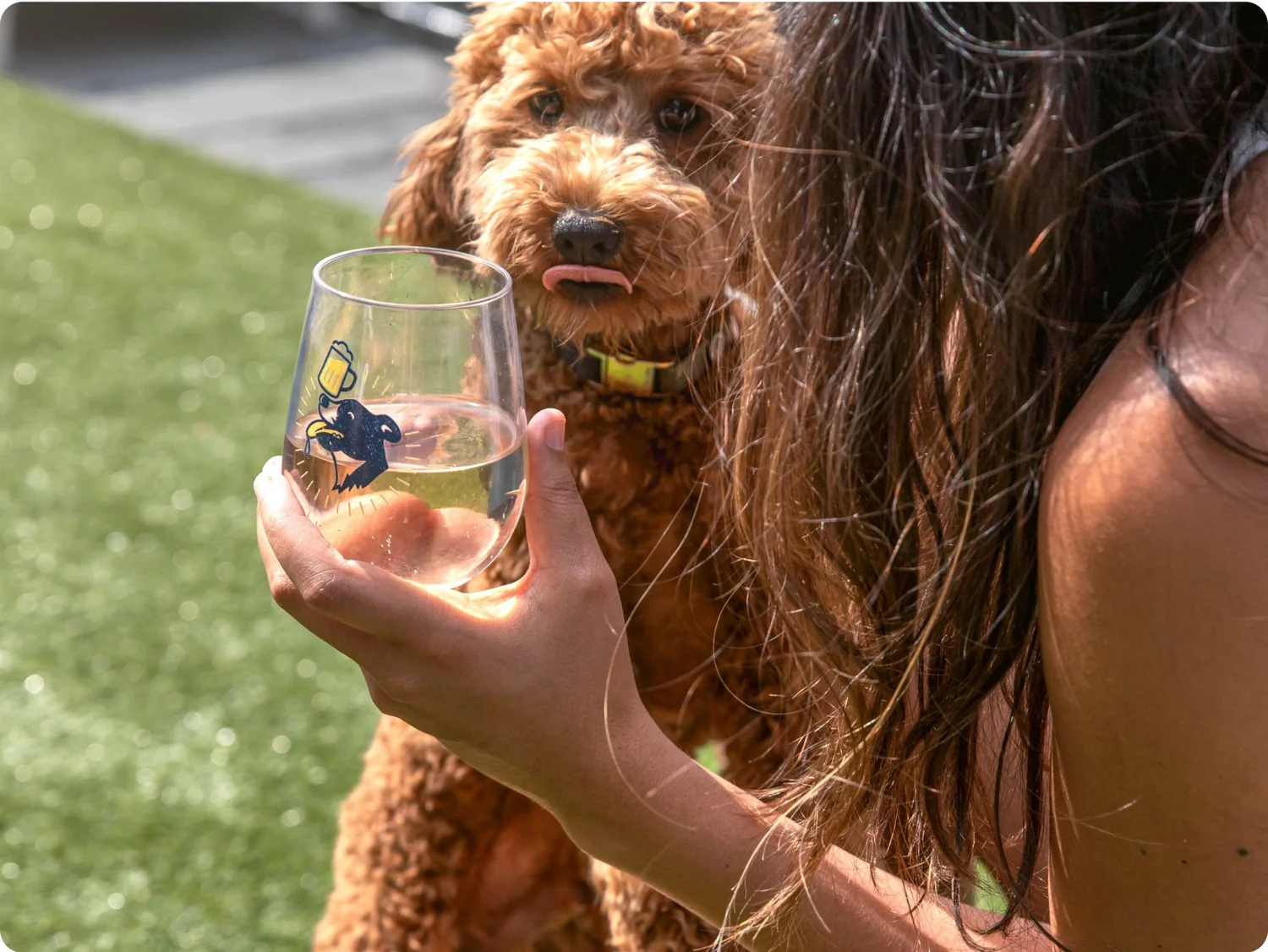 Park-9 Everett | Dog-friendly bar and dog park — Park-9 Dog Bar