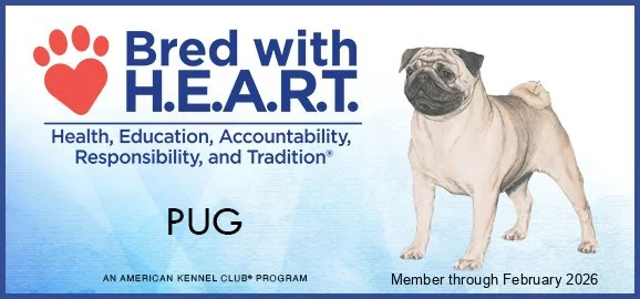 Anza Pugs