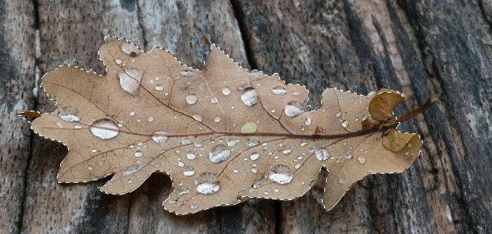 How to Use Masks in Affinity Photo