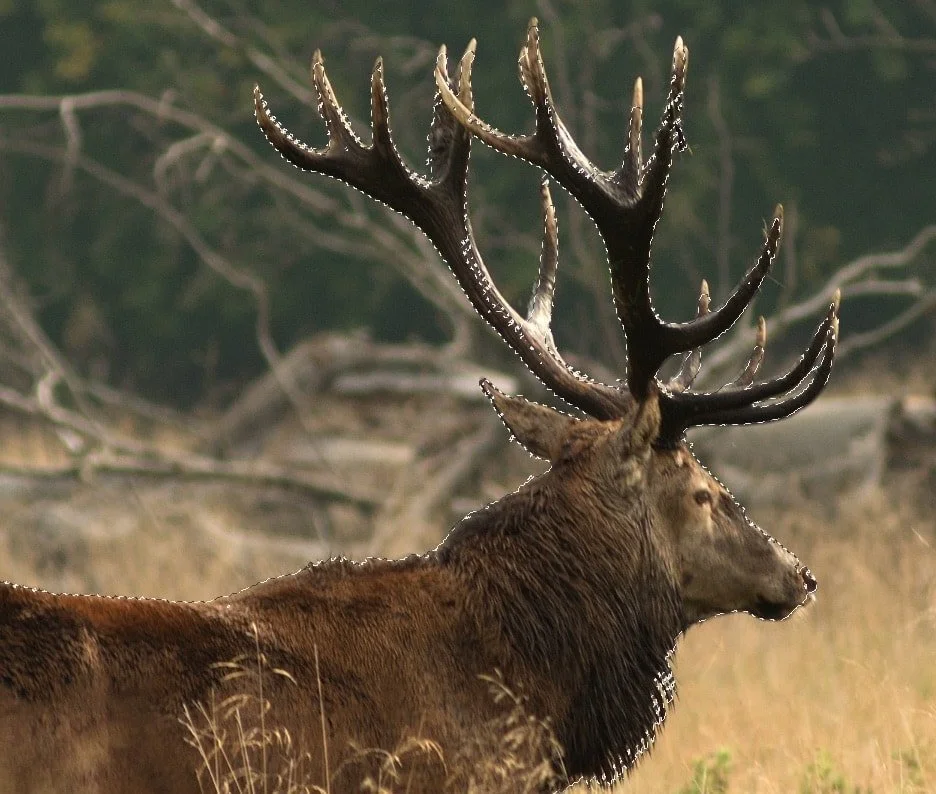 15 Tips for Getting Started With Affinity Photo