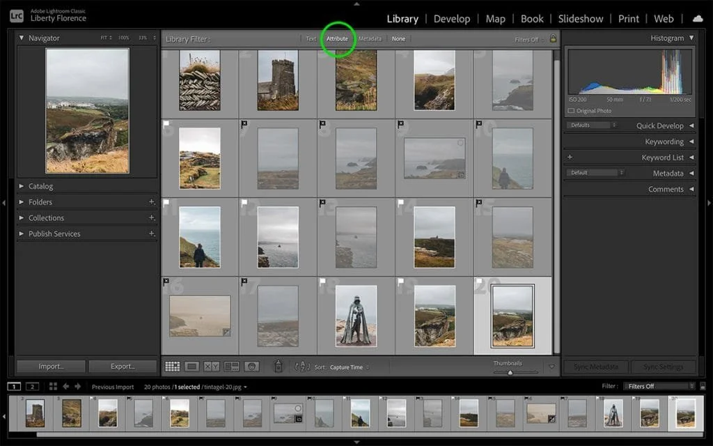 How to Flag a Photo in Lightroom CC