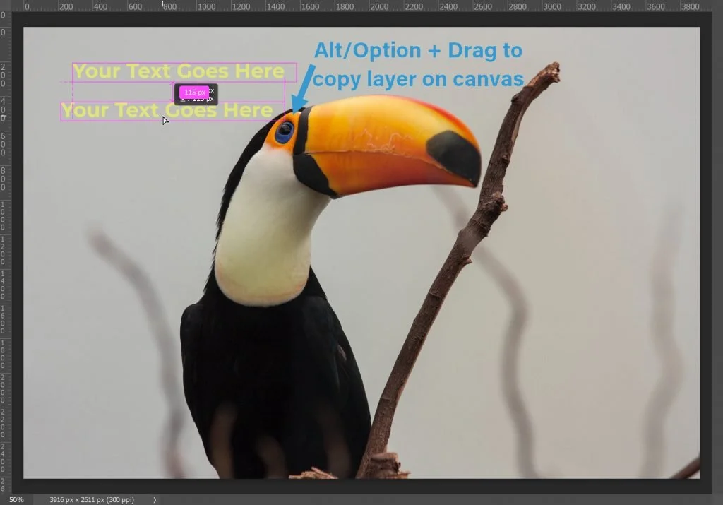 How To Duplicate Layers In Photoshop