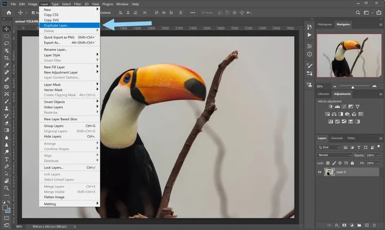 How To Duplicate Layers In Photoshop