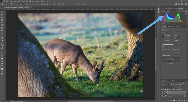 How to Use the Histogram in Photoshop