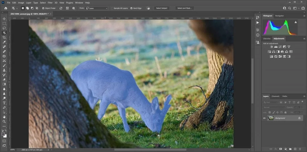 Affinity Photo vs Photoshop: Which is the Best Match for You