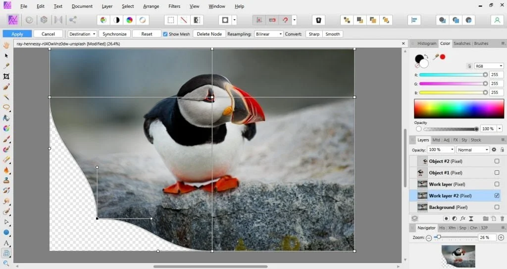 How to Use the Free Transform Tool in Affinity Photo