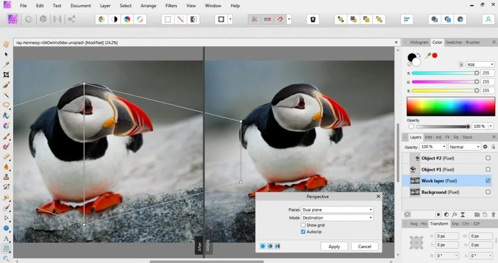 How to Use the Free Transform Tool in Affinity Photo