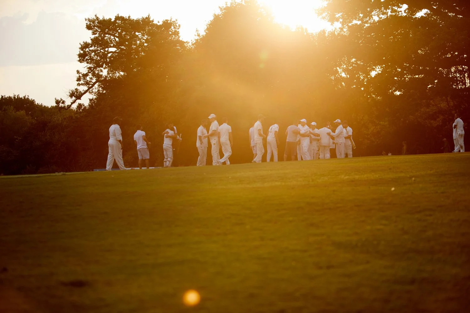 Senior Cricket in Leeds — Meanwood Cricket Club