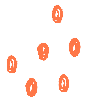 The Taylored Life Blog