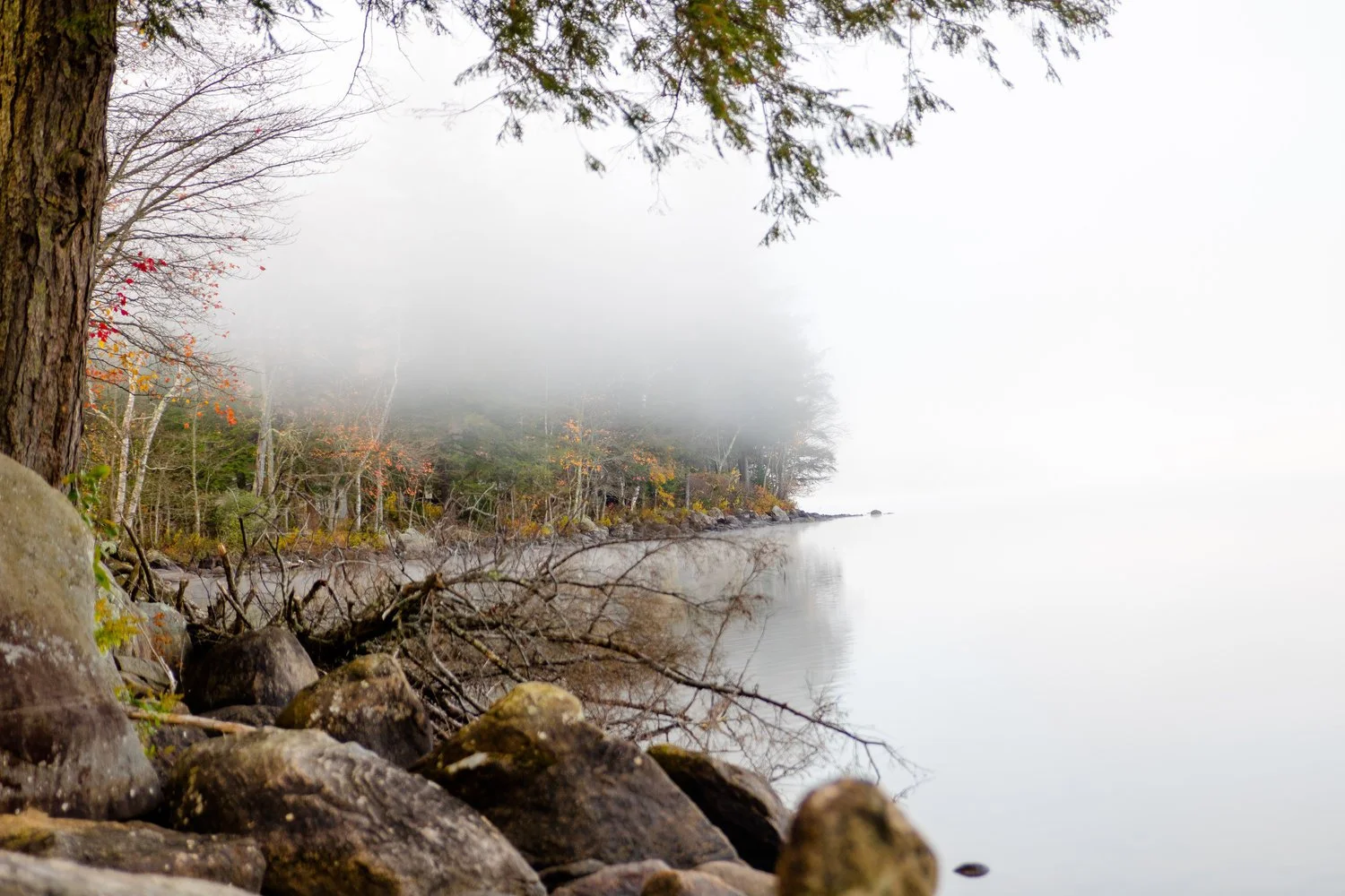 Reservations — Camp Fowler