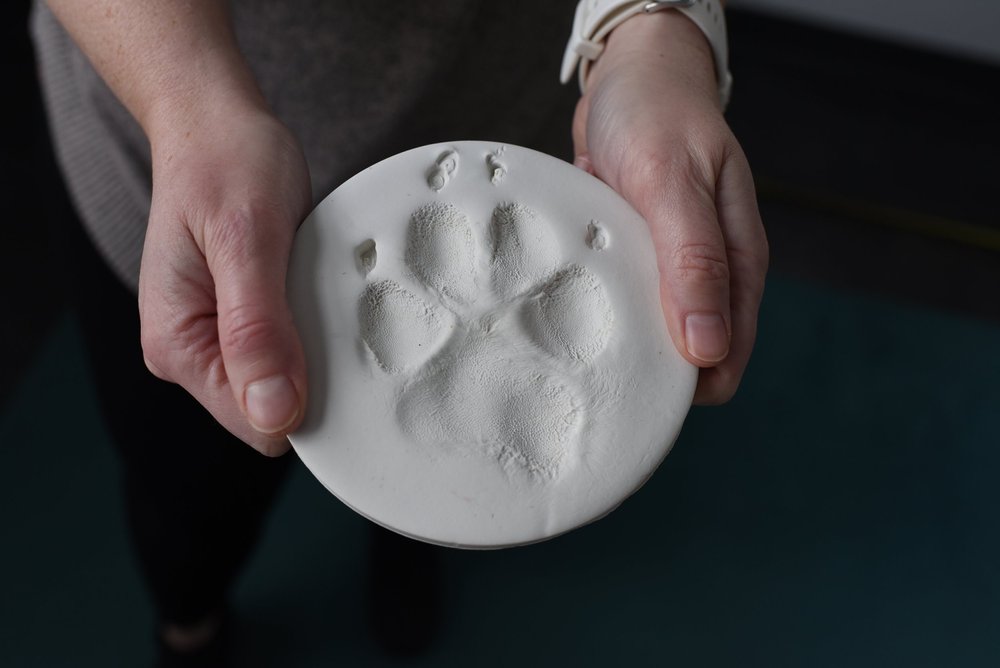 Life Tails Pet Cremation