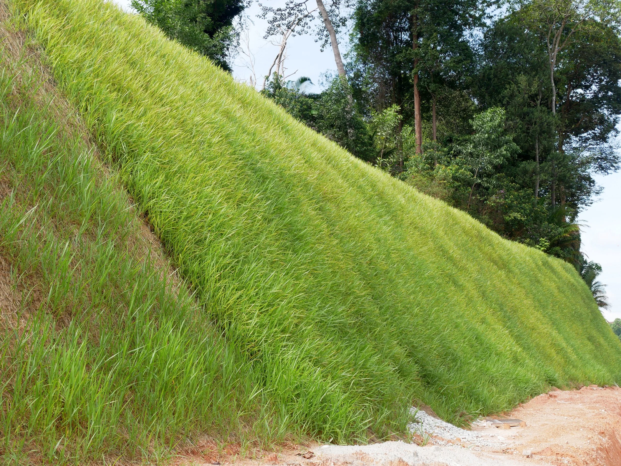 Hydroseeding — G M Contracting