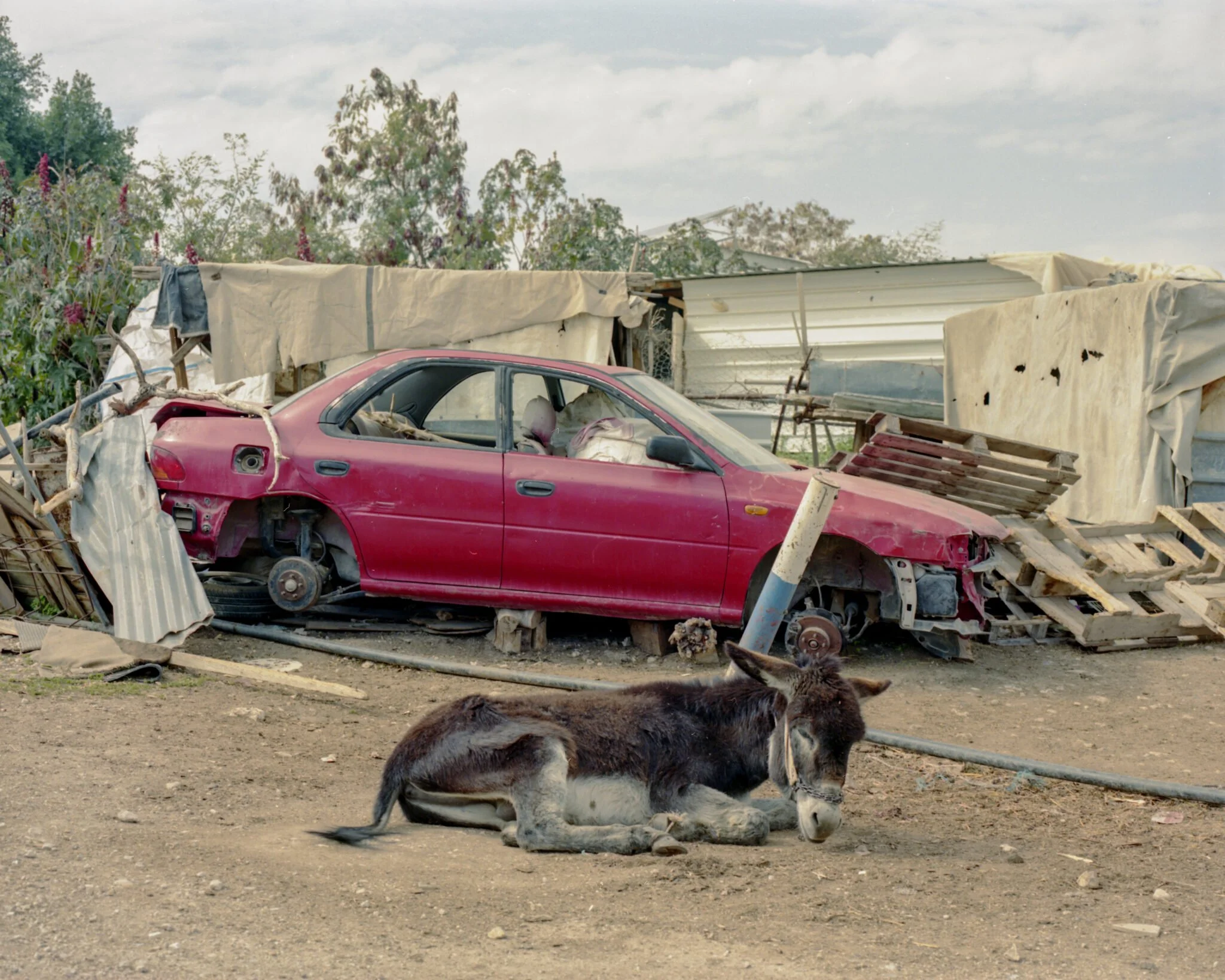 Recipients — The Ian Parry Photojournalism Grant