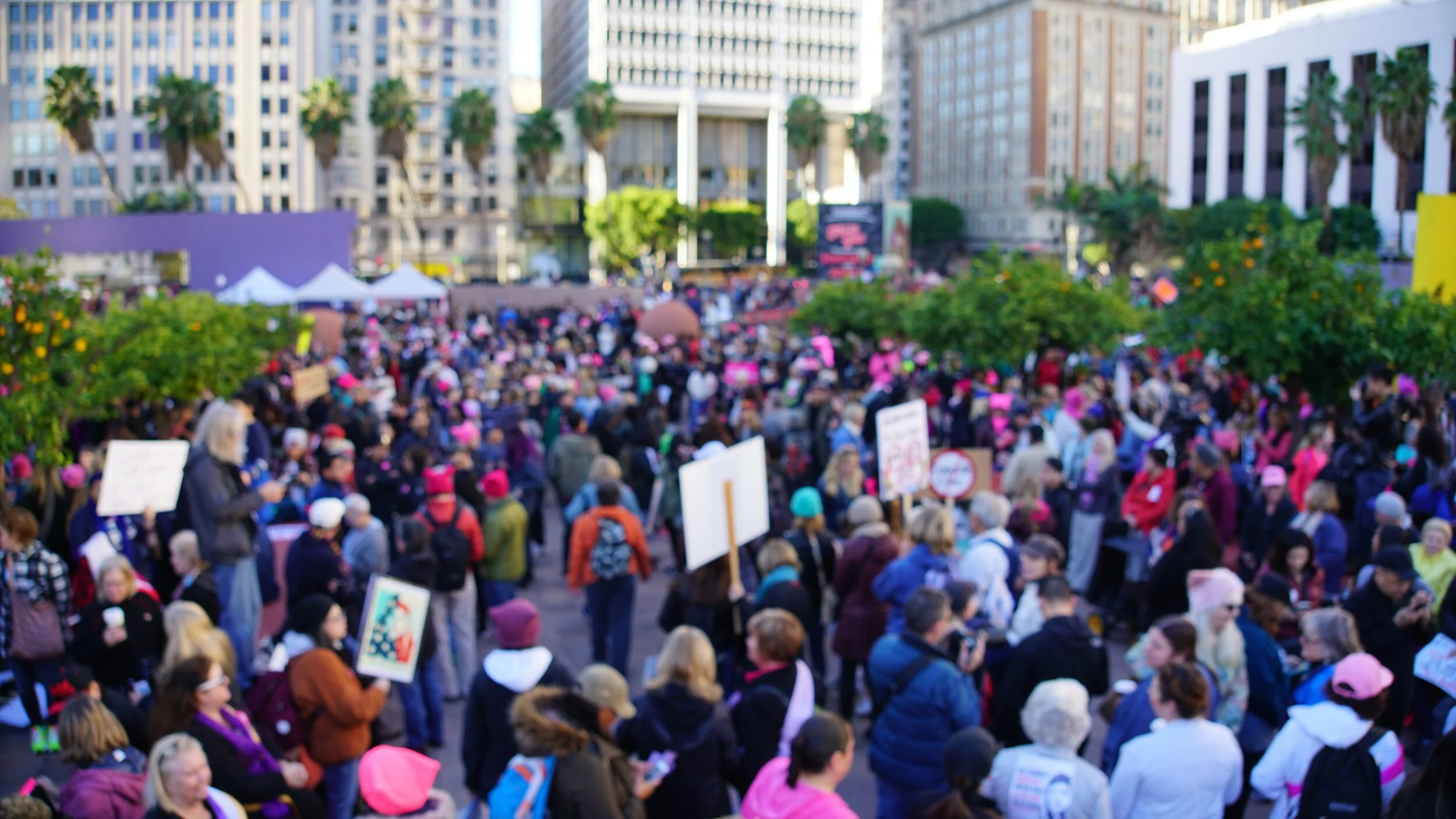 Women's March Foundation-Persist. Resist. Organize