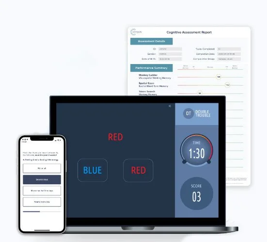 Whole Mind | Mental Health Clinic