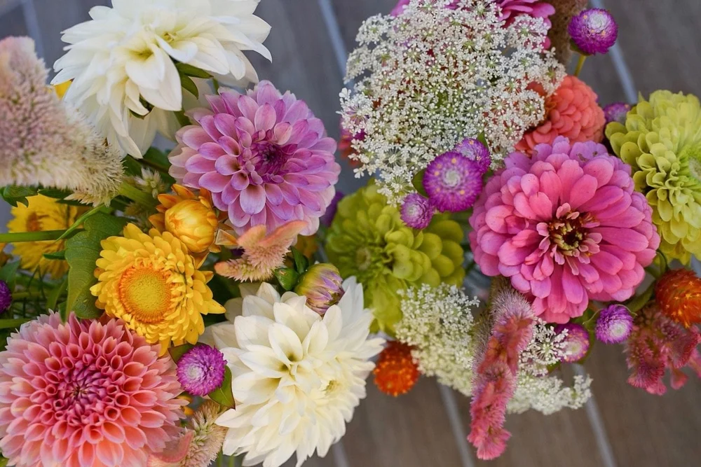 Beard Family Flower Farm