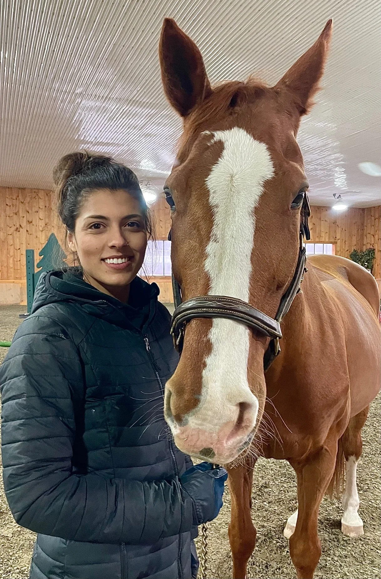 North of 9 Equine & Canine Bodywork