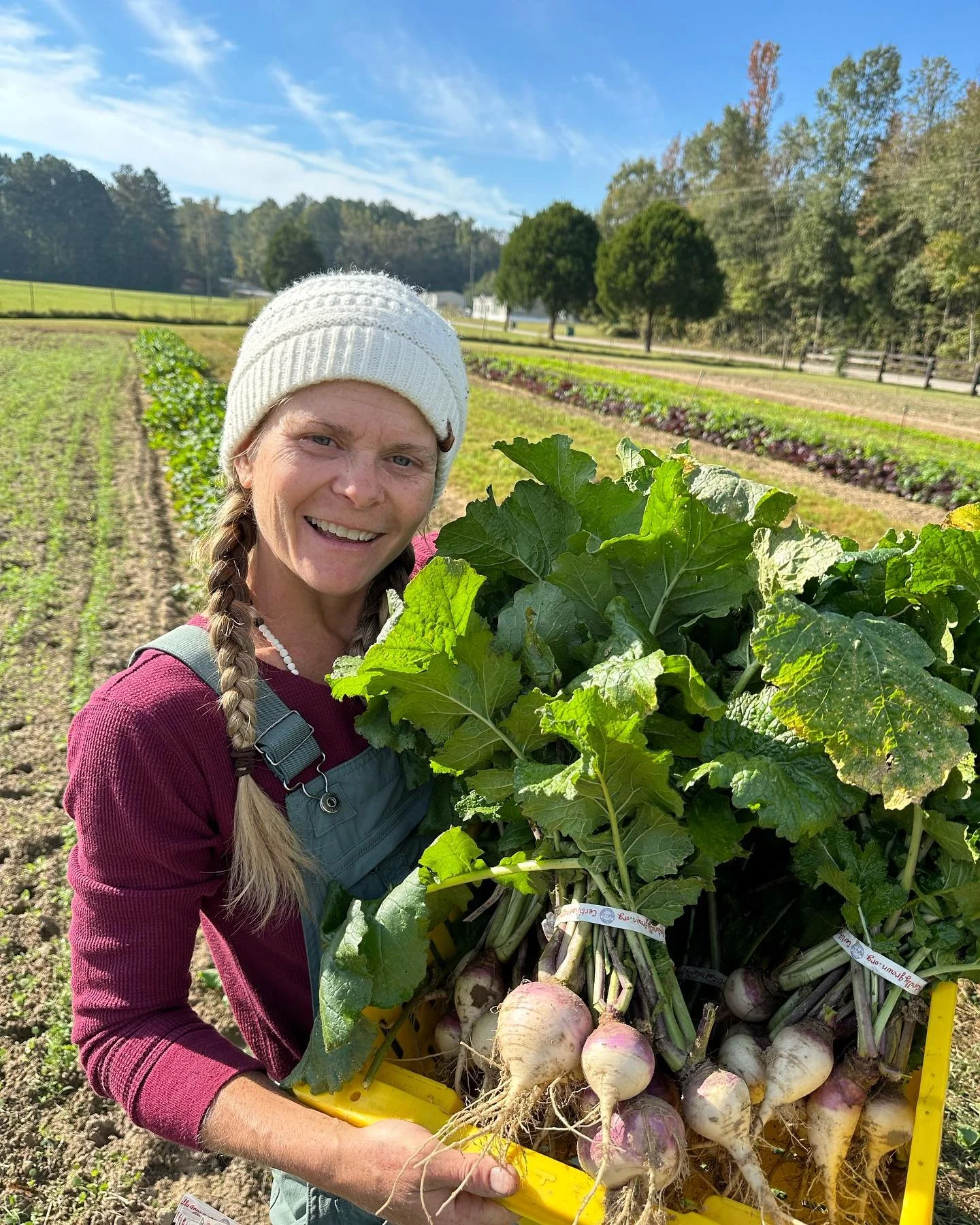 ABOUT OUR FARM — Lovelight Farm