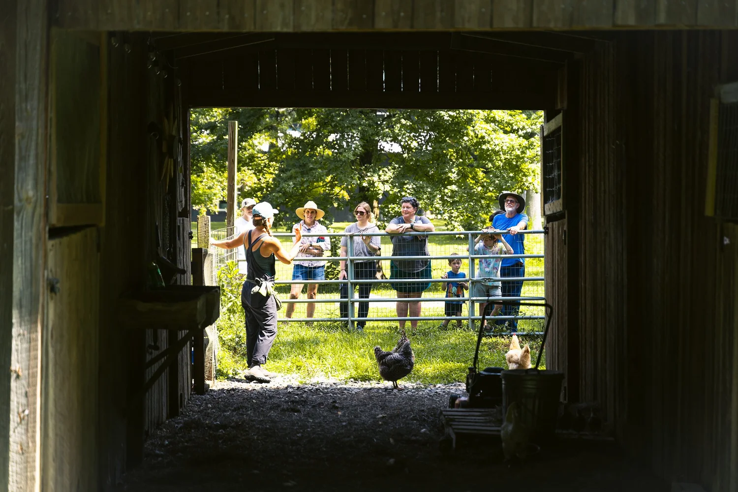 ABOUT OUR FARM — Lovelight Farm