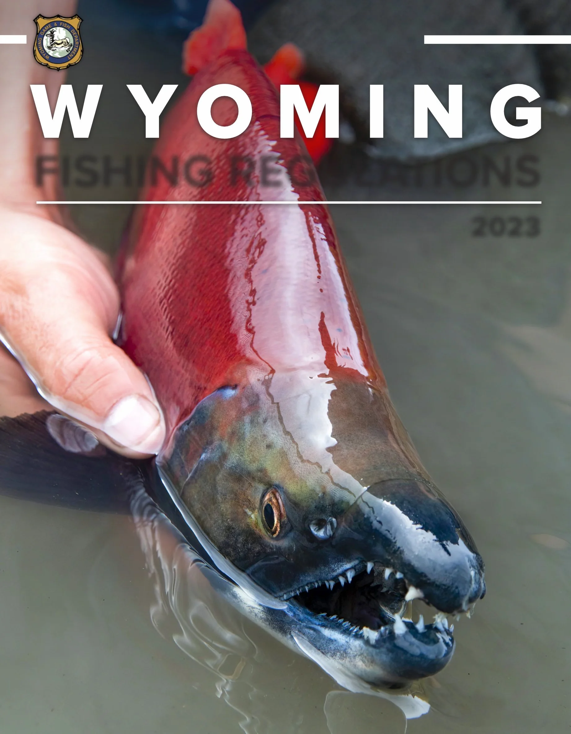 Fishing Licenses | Fly Fishing | Wyoming | National Park — Yellowstone ...