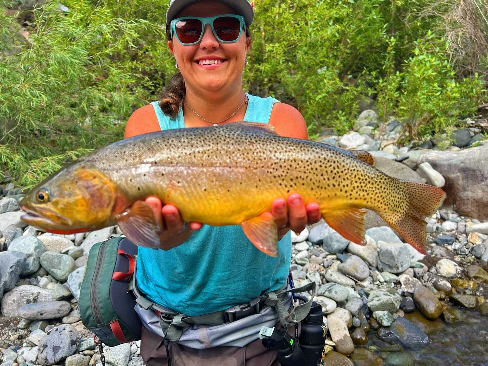 Yellowstone Anglers' Basecamp