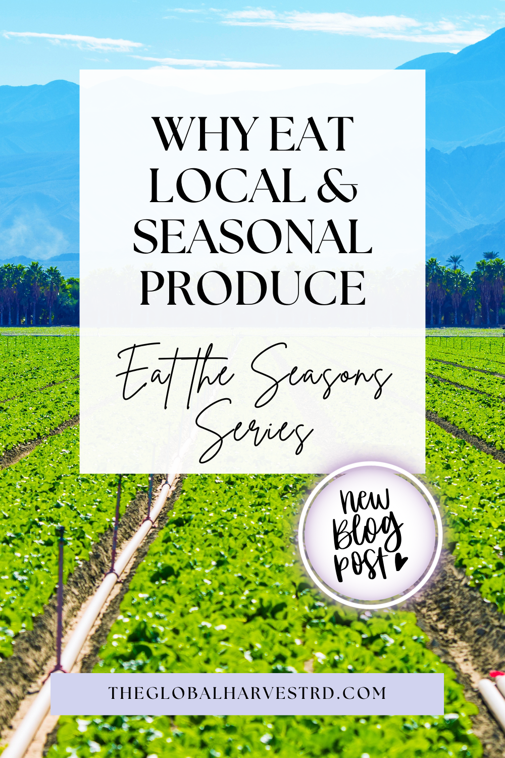 Why Eat Local and Seasonal Produce — The Global Harvest RD