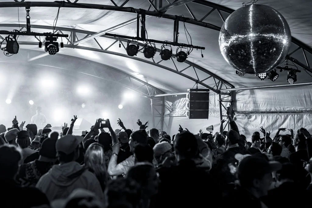 The Downtown Defrost: Electronic Music & Arts Festival