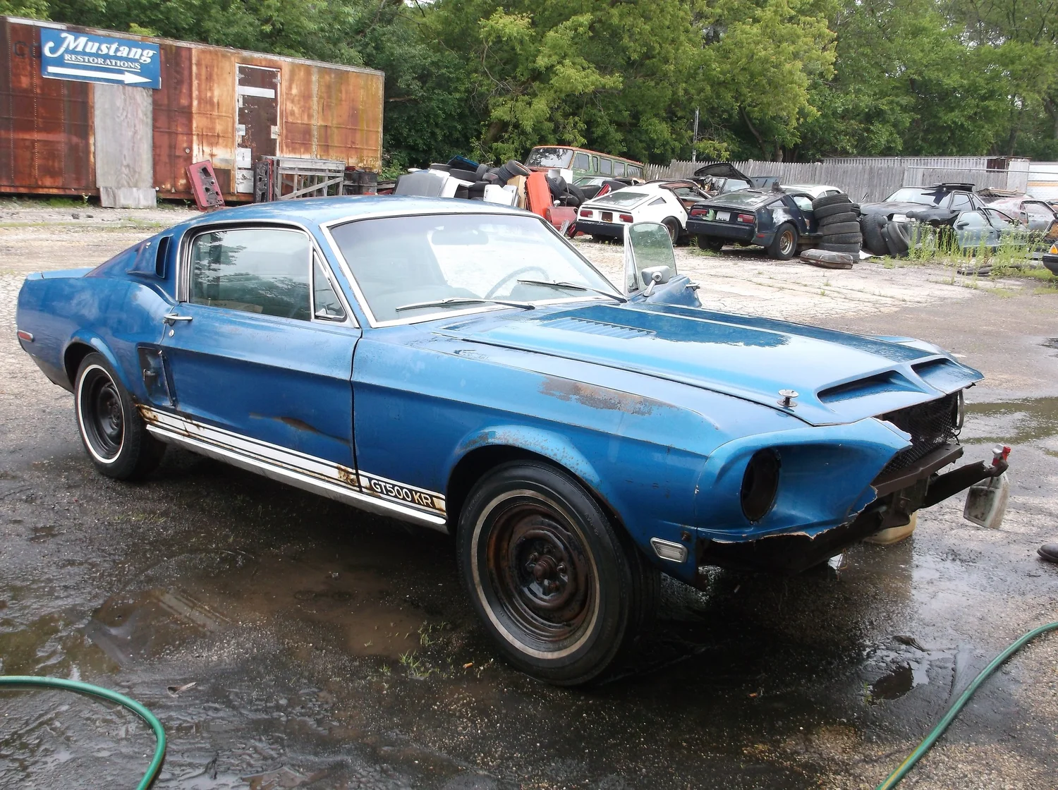 GT500KR Lost for over forty year's — Mustang Restorations, Inc ...