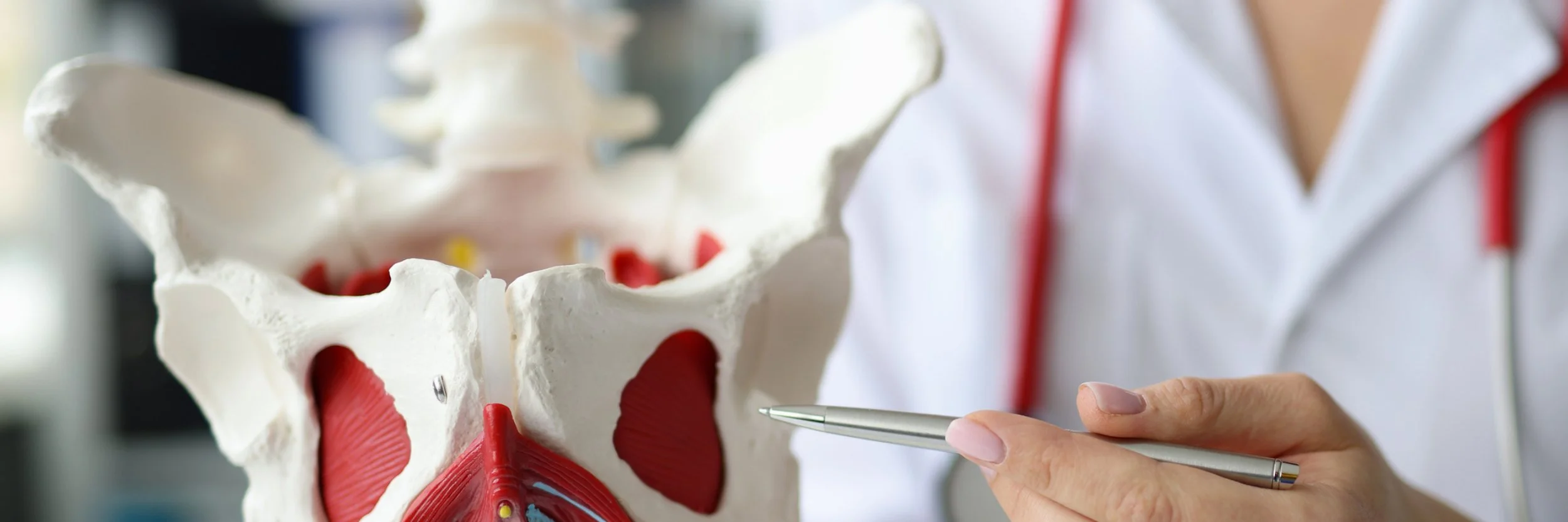 Pelvic Health — Carbs Performance & Wellness