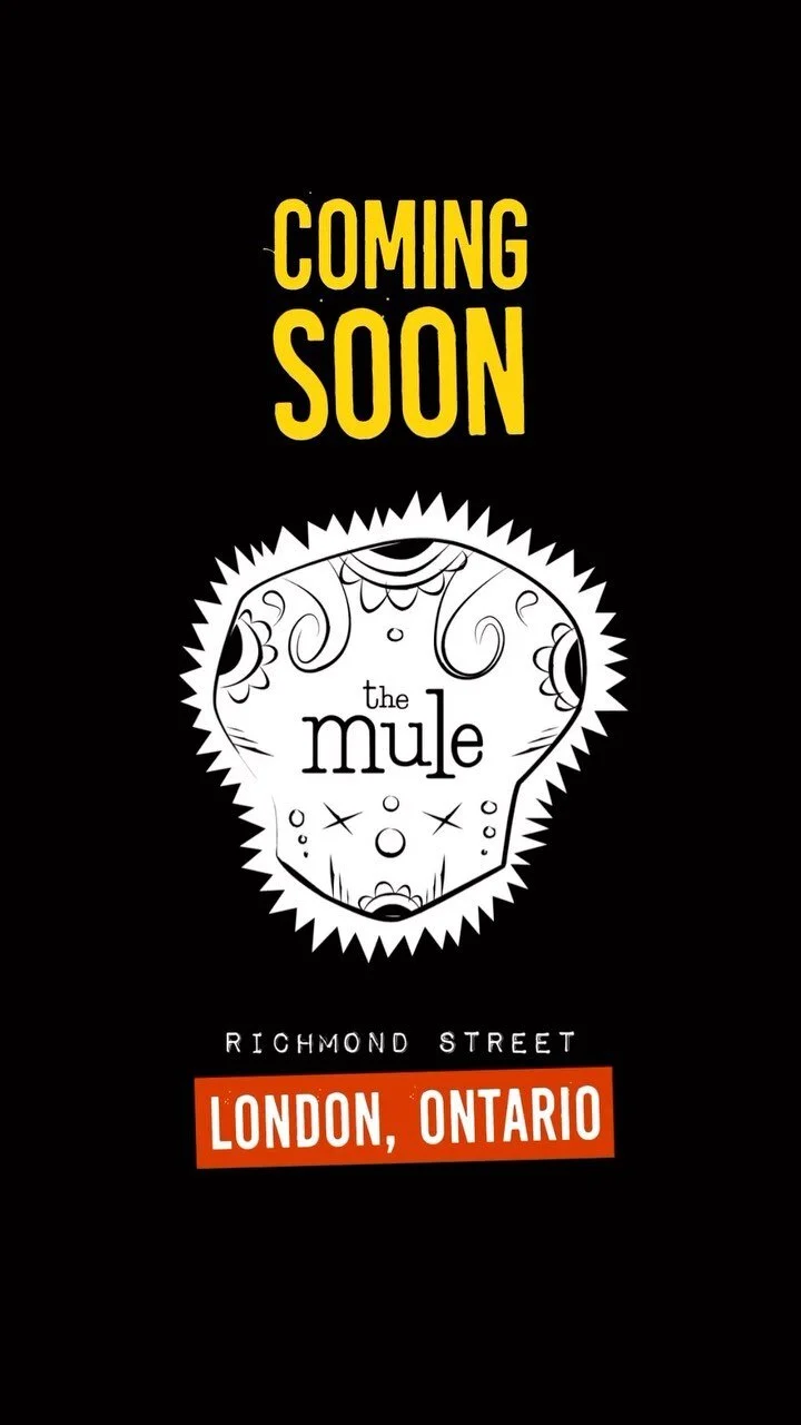 VIBE CHECK — The Mule London