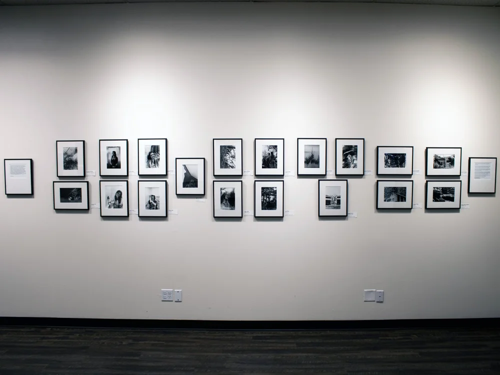 Current Art Exhibits - Paseo Arts & Creativity Center Galleries in OKC ...
