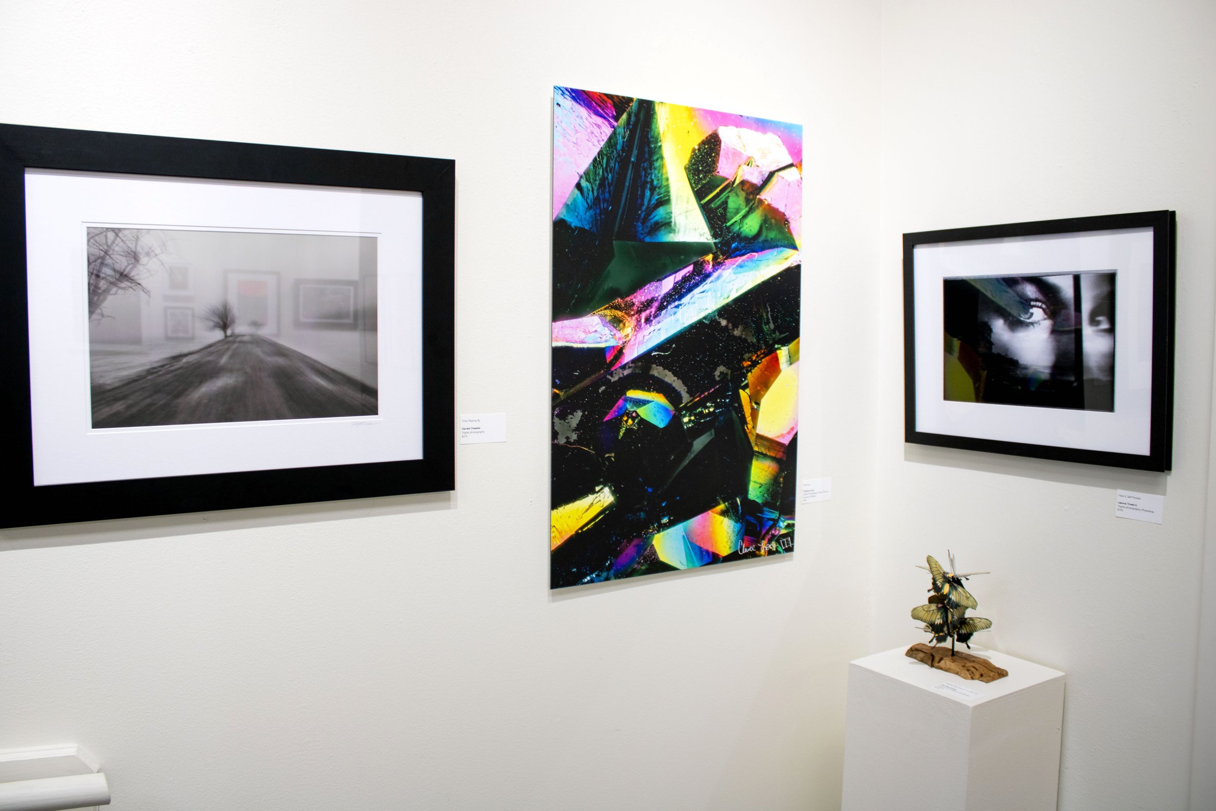 Applications - Art Exhibits at the PACC Galleries — Paseo Arts Association