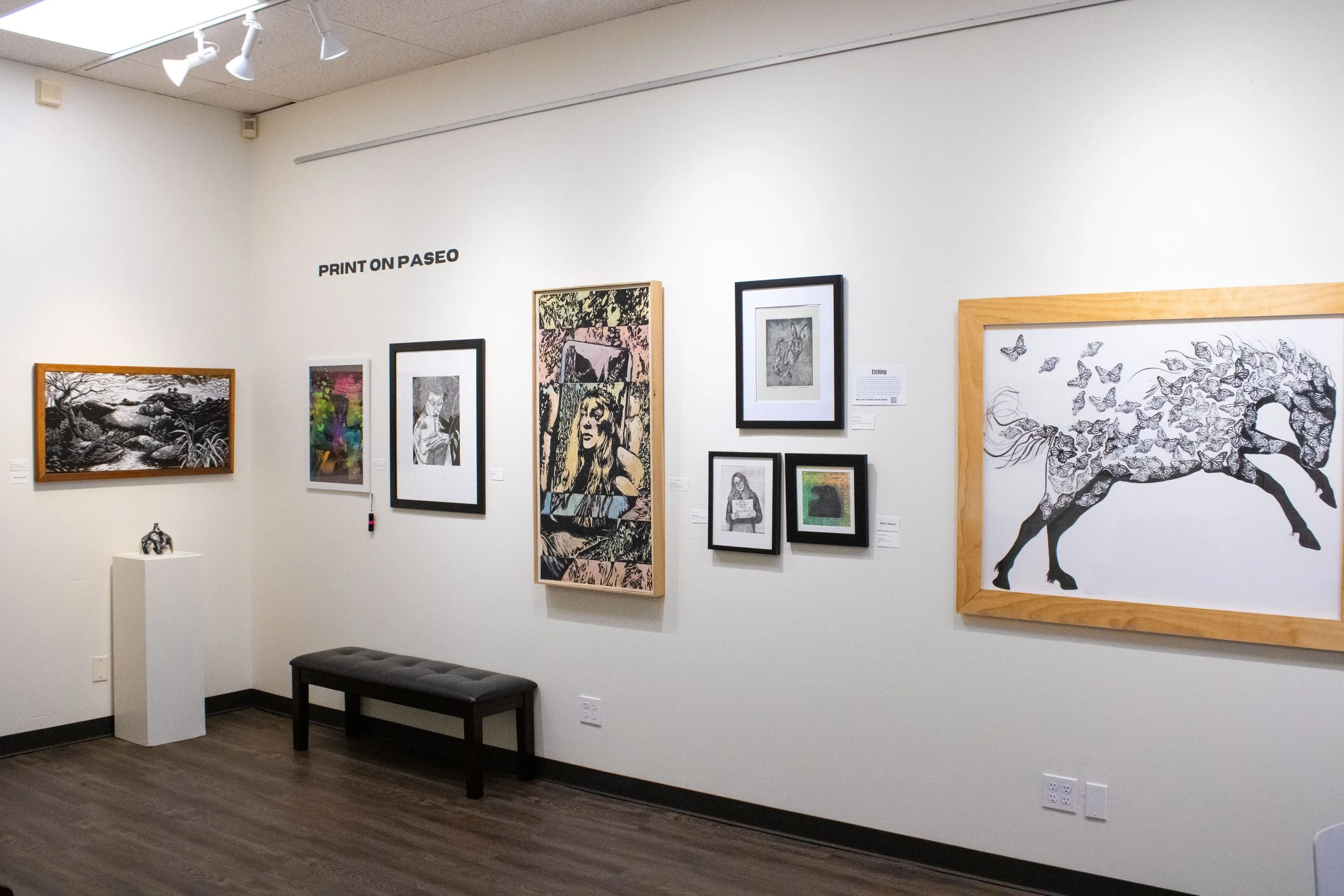 Applications - Art Exhibits at the PACC Galleries — Paseo Arts Association