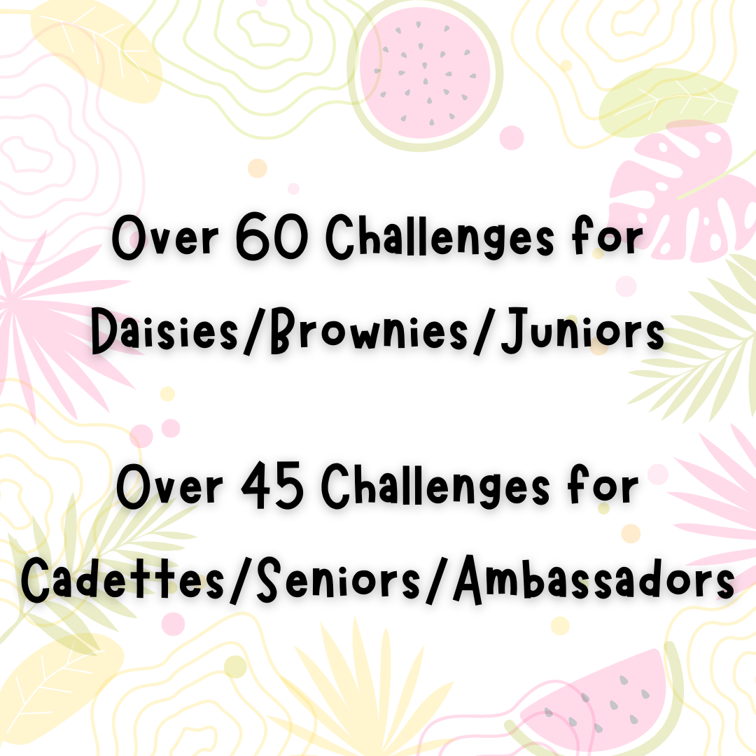 Cryptid Hunter Fun Patch — Stemily Studios