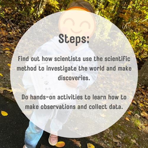 Shop — Stemily Studios