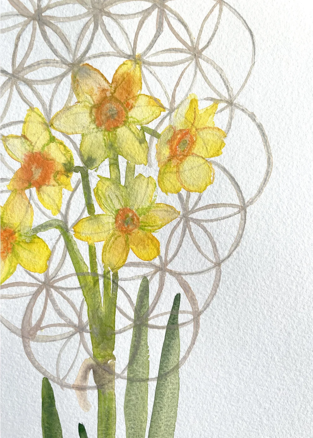 Shop Art — Jahje Ives