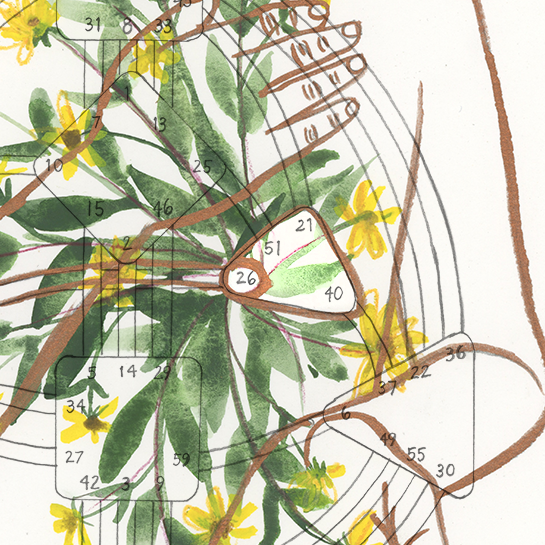 Exploring Gate 26 in Human Design: The Gate of The Egoist — Jahje Ives
