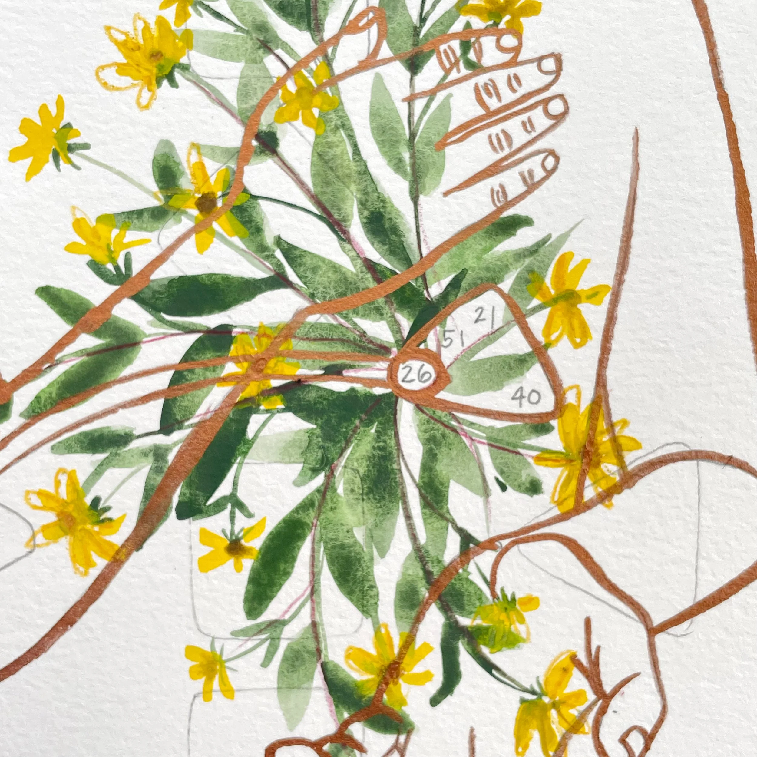 Exploring Gate 26 in Human Design: The Gate of The Egoist — Jahje Ives