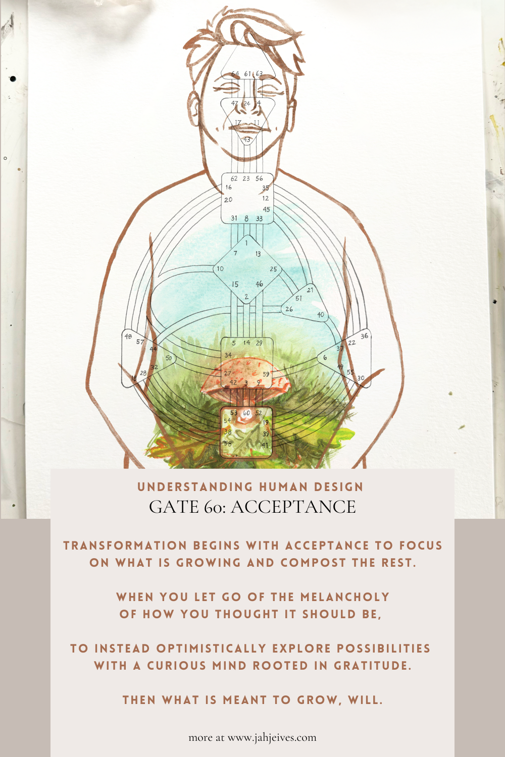 Exploring Gate 60 in Human Design: The Gate of Acceptance — Jahje Ives